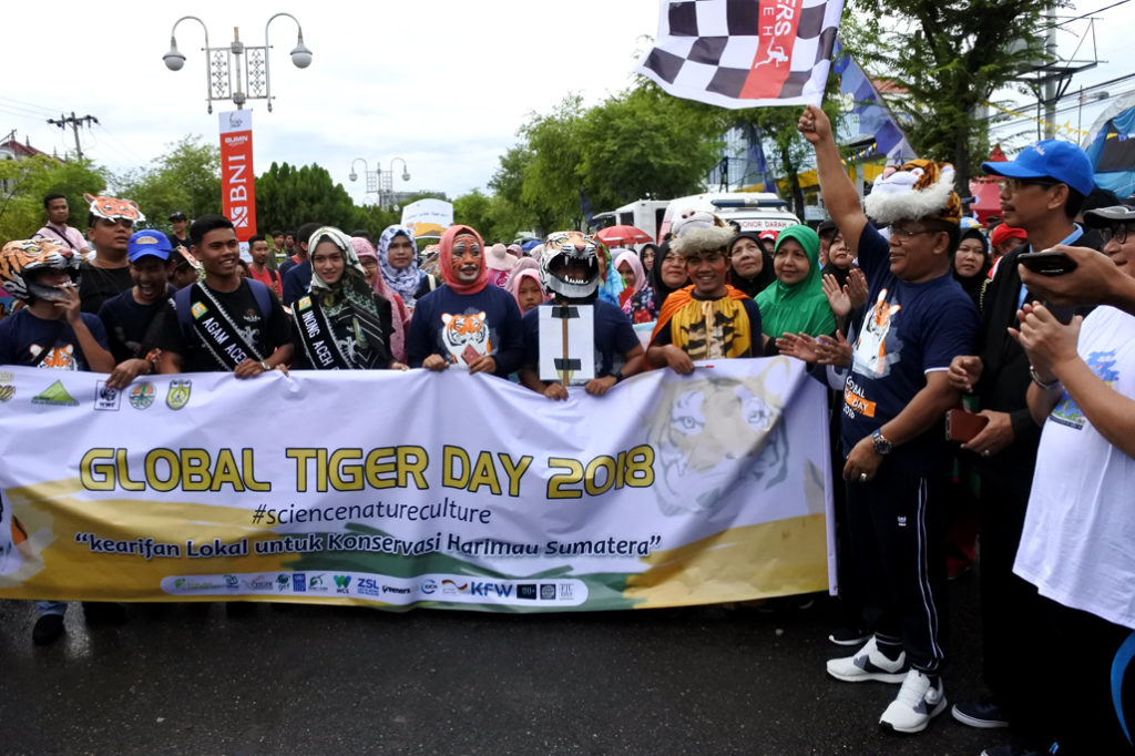Di Car Free Day Aminullah Kampanye Pelestarian Harimau Sumatera